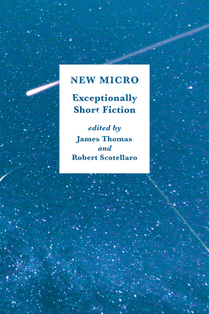 On LitHub: Very Short Stories From New Micro: Nancy Stohlman, Pamela ...