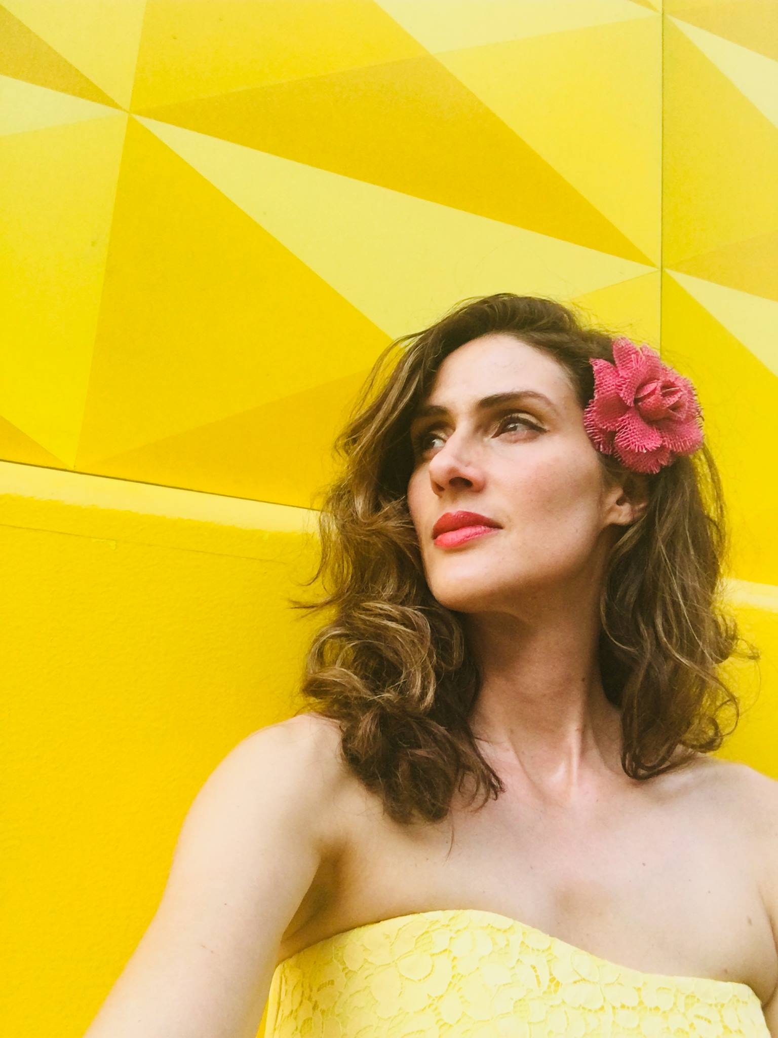 Bio – Nancy Stohlman