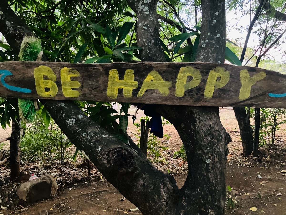 Happiness is Possible – Nancy Stohlman